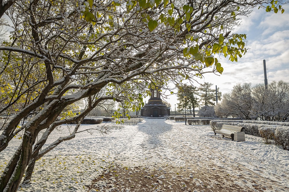 First Snow Beauty - Free photo on Pixabay - Pixabay