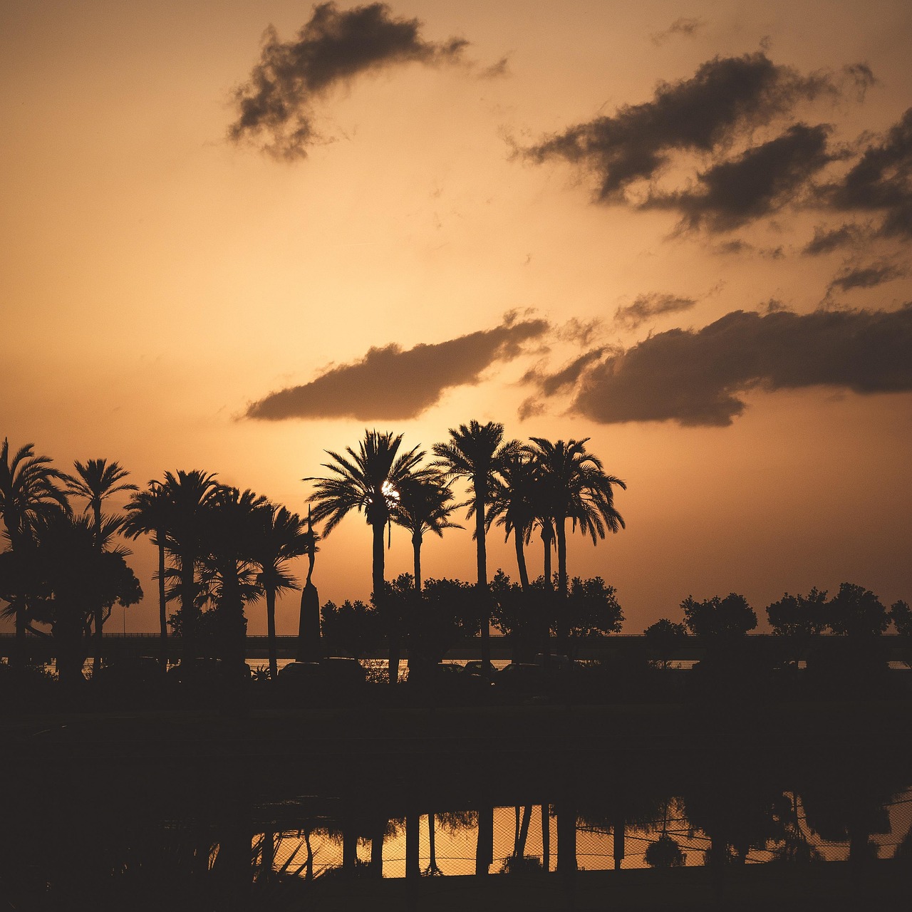 Palmiers Le Coucher Du Soleil - Photo gratuite sur Pixabay - Pixabay