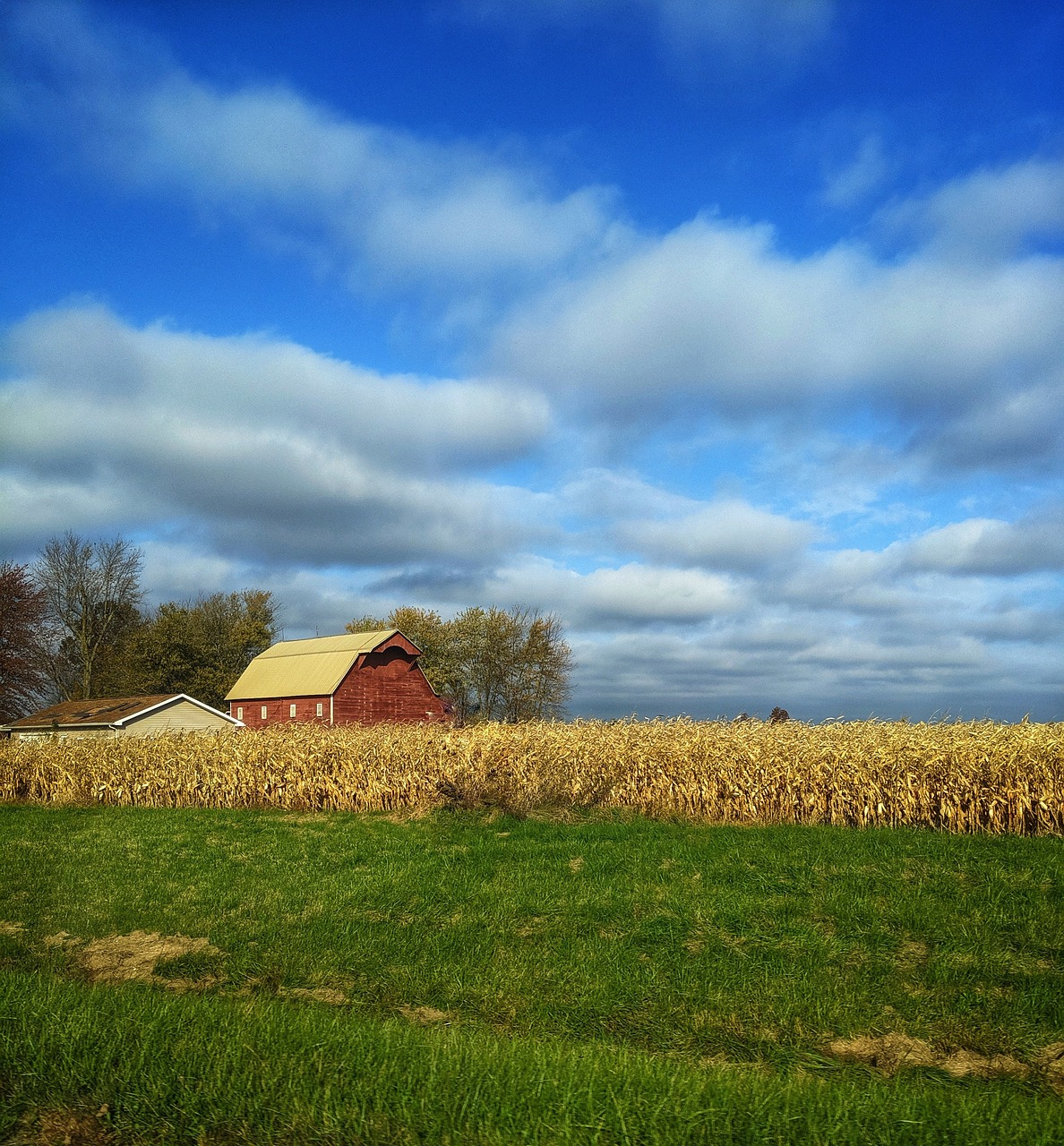 Cultiver Champ De Blé Des Nuages - Photo gratuite sur Pixabay - Pixabay