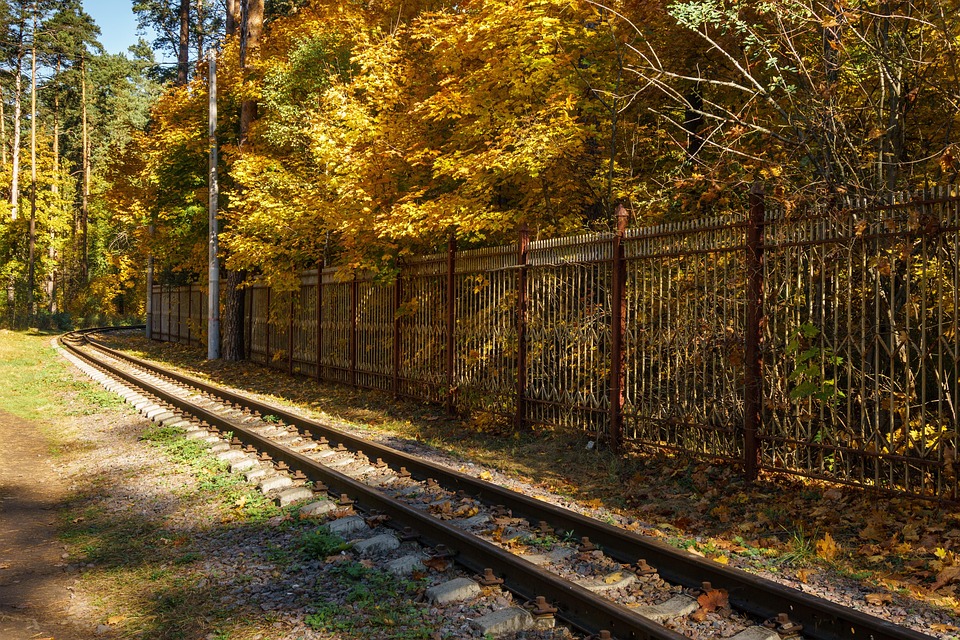 Narrow Gauge Railroad Autumn Fall - Free photo on Pixabay
