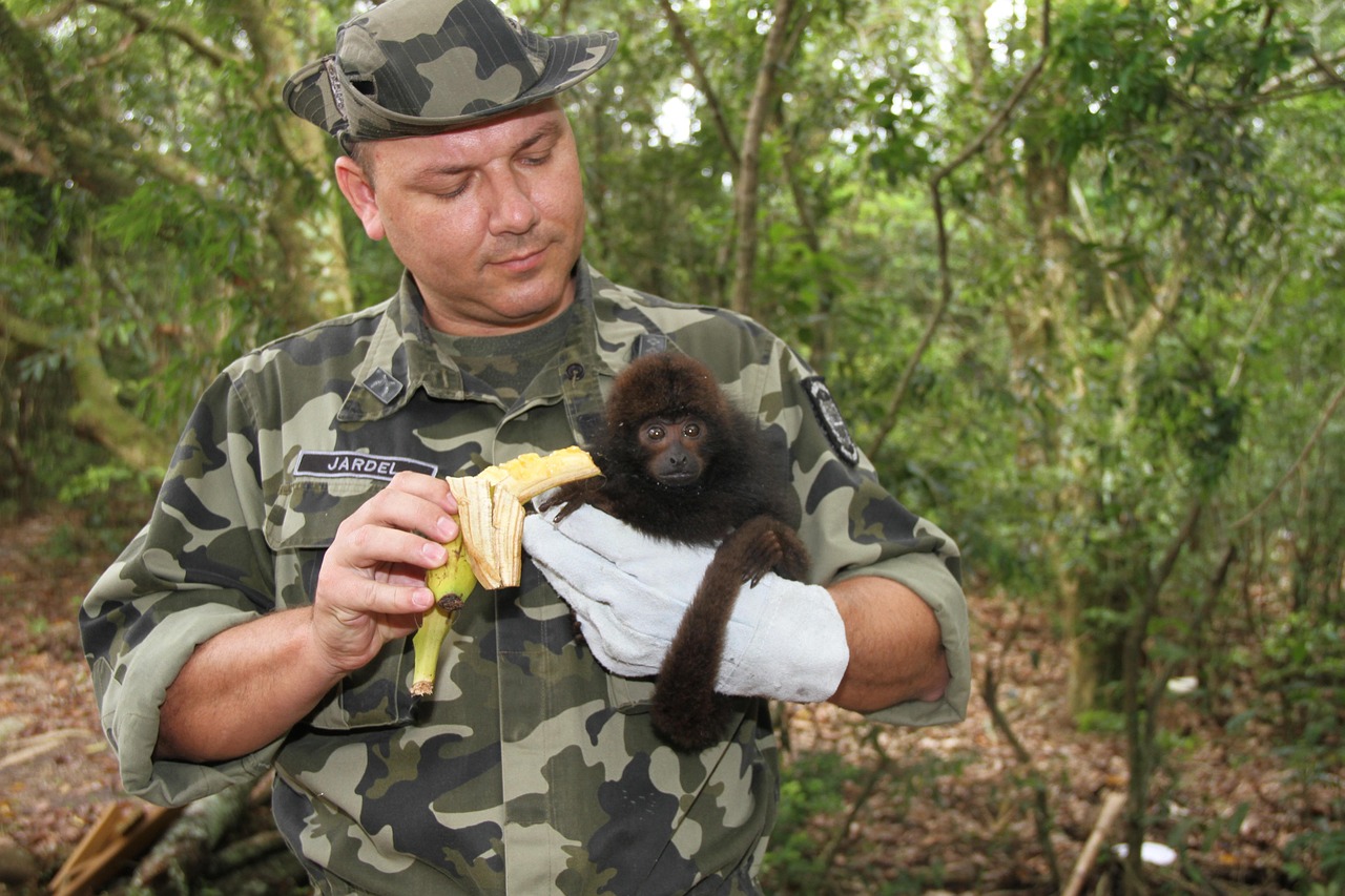 Macaco Natureza Animais Selvagens - Foto gratuita no Pixabay - Pixabay