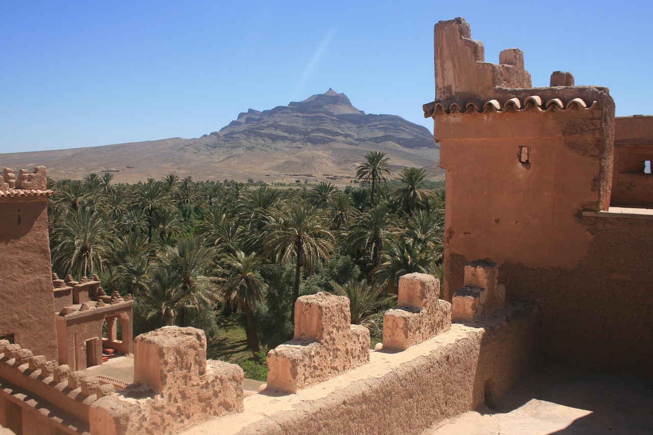 100+ Free Desert Oasis & Oasis Images - Pixabay