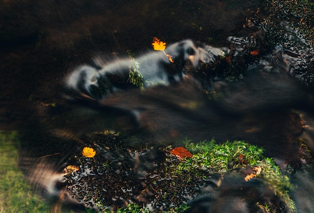 Autumn Water Stream - Free photo on Pixabay - Pixabay