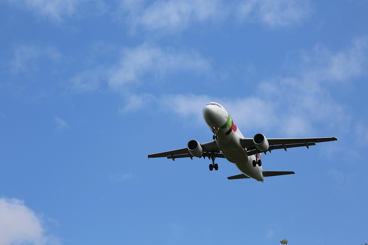 Flugzeug Fliegen Reisen - Kostenloses Foto auf Pixabay - Pixabay