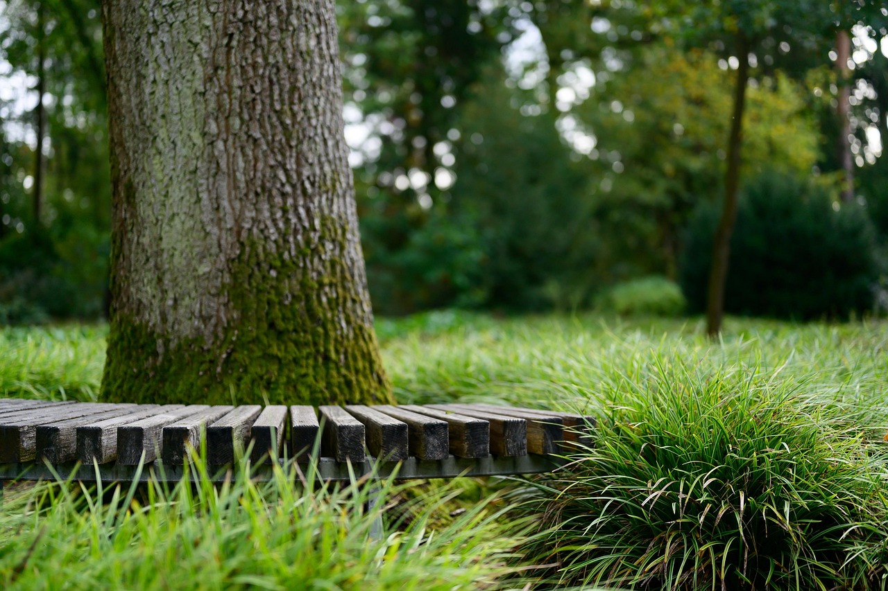 Jardin Banque Banc De - Photo gratuite sur Pixabay - Pixabay