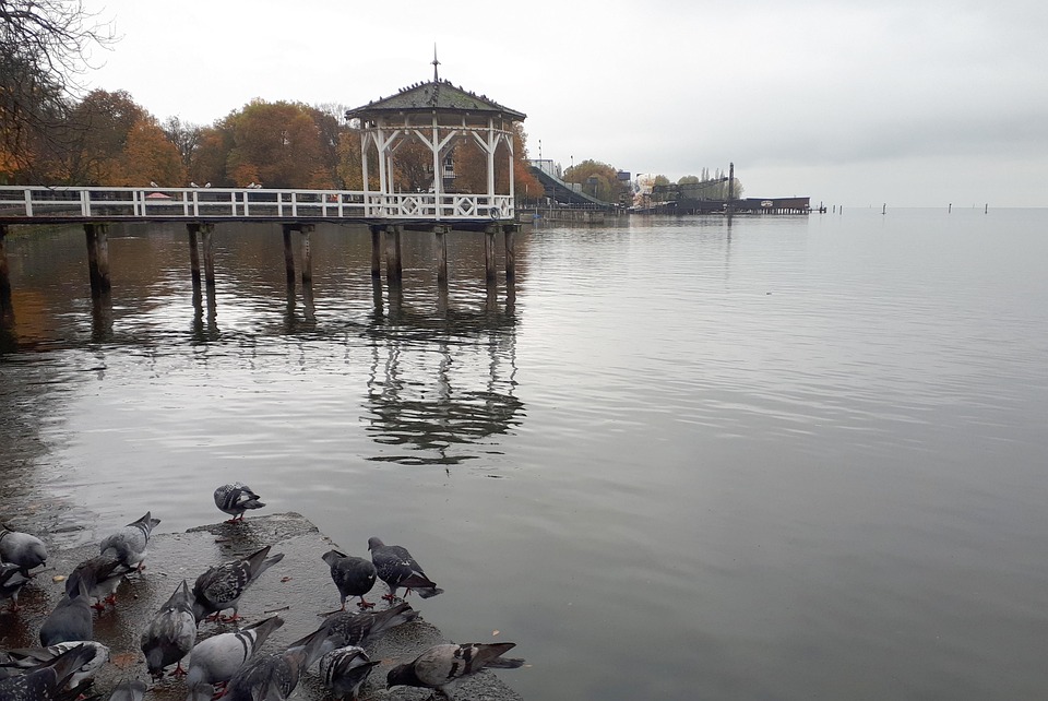 Bregenz Lacul Constance Lac - Fotografie gratuită pe Pixabay - Pixabay