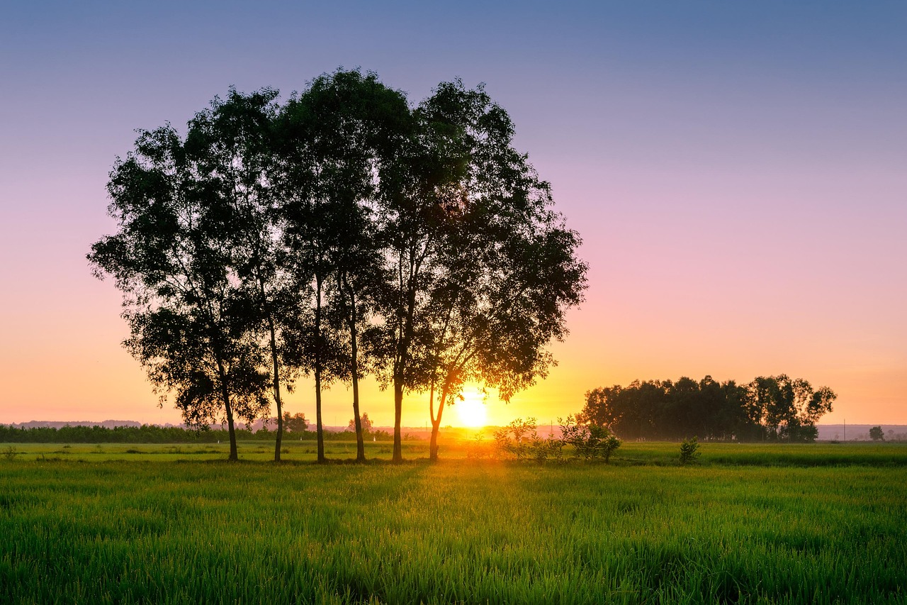 Village Rural Countryside - Free photo on Pixabay - Pixabay