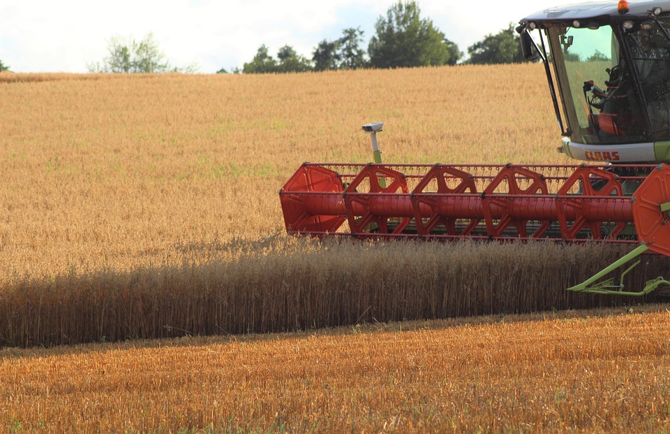 Thresh Harvest Agriculture - Free photo on Pixabay