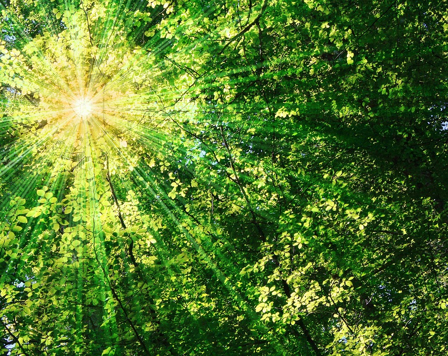 Слънце Слънчев Лъч Слънчеви Лъчи Безплатни фотографии на Pixabay