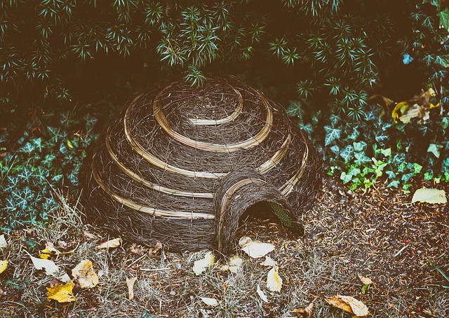 Hedgehog House Shelter Dome Winter - Free photo on Pixabay - Pixabay