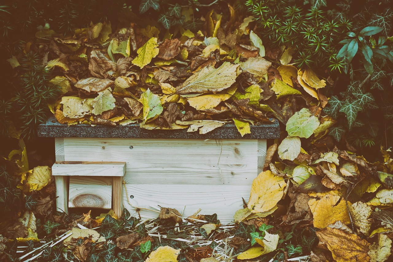 Hedgehog House Shelter Winter - Free photo on Pixabay