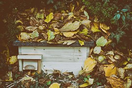Hedgehog Houses Garden Shelter - Free photo on Pixabay
