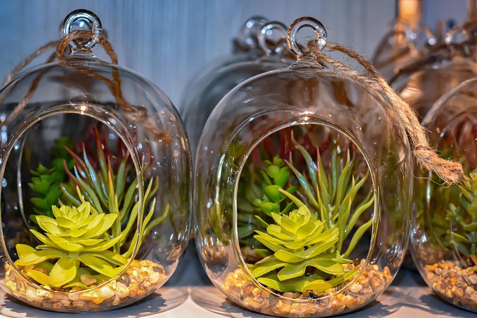 Glass Plants Artificial - Free photo on Pixabay