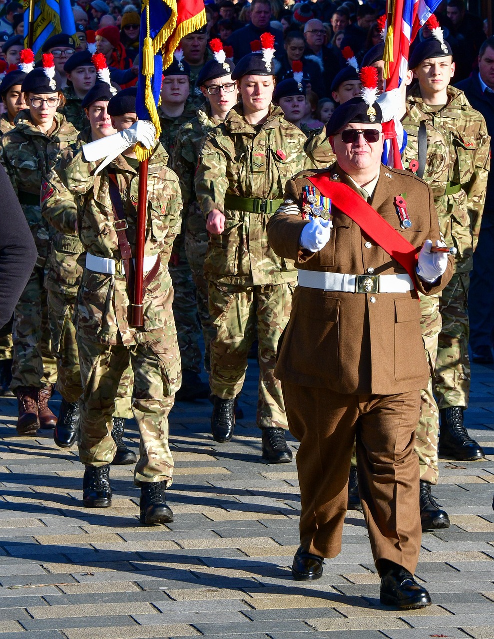 100+ Free Veterans Day & Remembrance Day Images - Pixabay