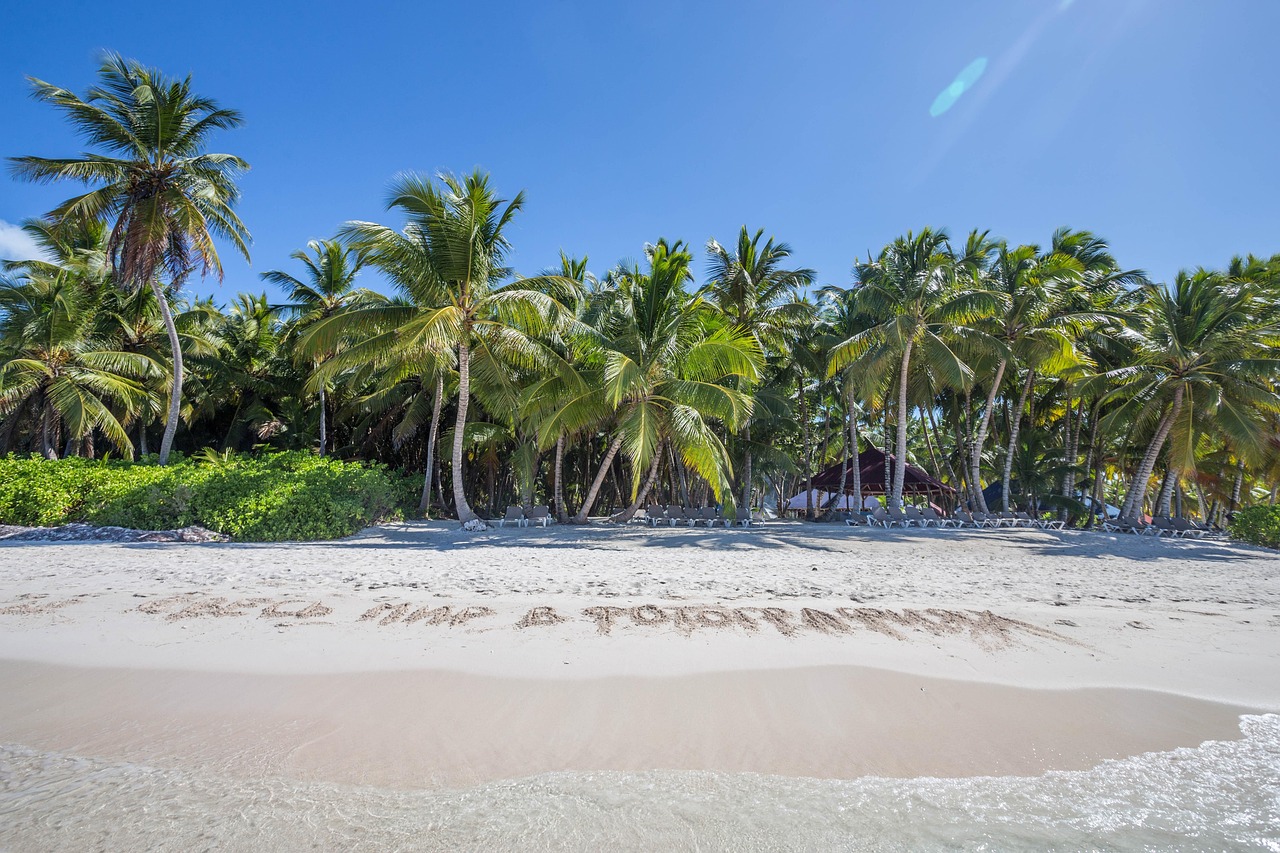 Dominicana Dominican Republic - Free photo on Pixabay - Pixabay
