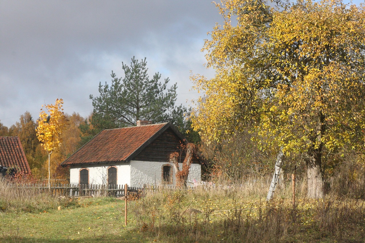 Cottage Autumn Grass - Free photo on Pixabay - Pixabay
