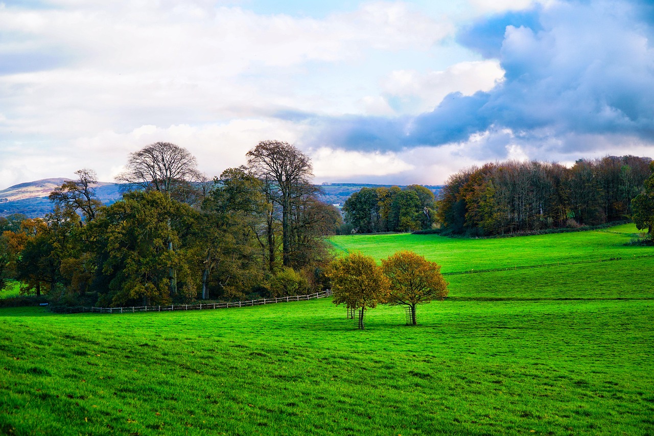 Countryside Rural Nature - Free photo on Pixabay - Pixabay
