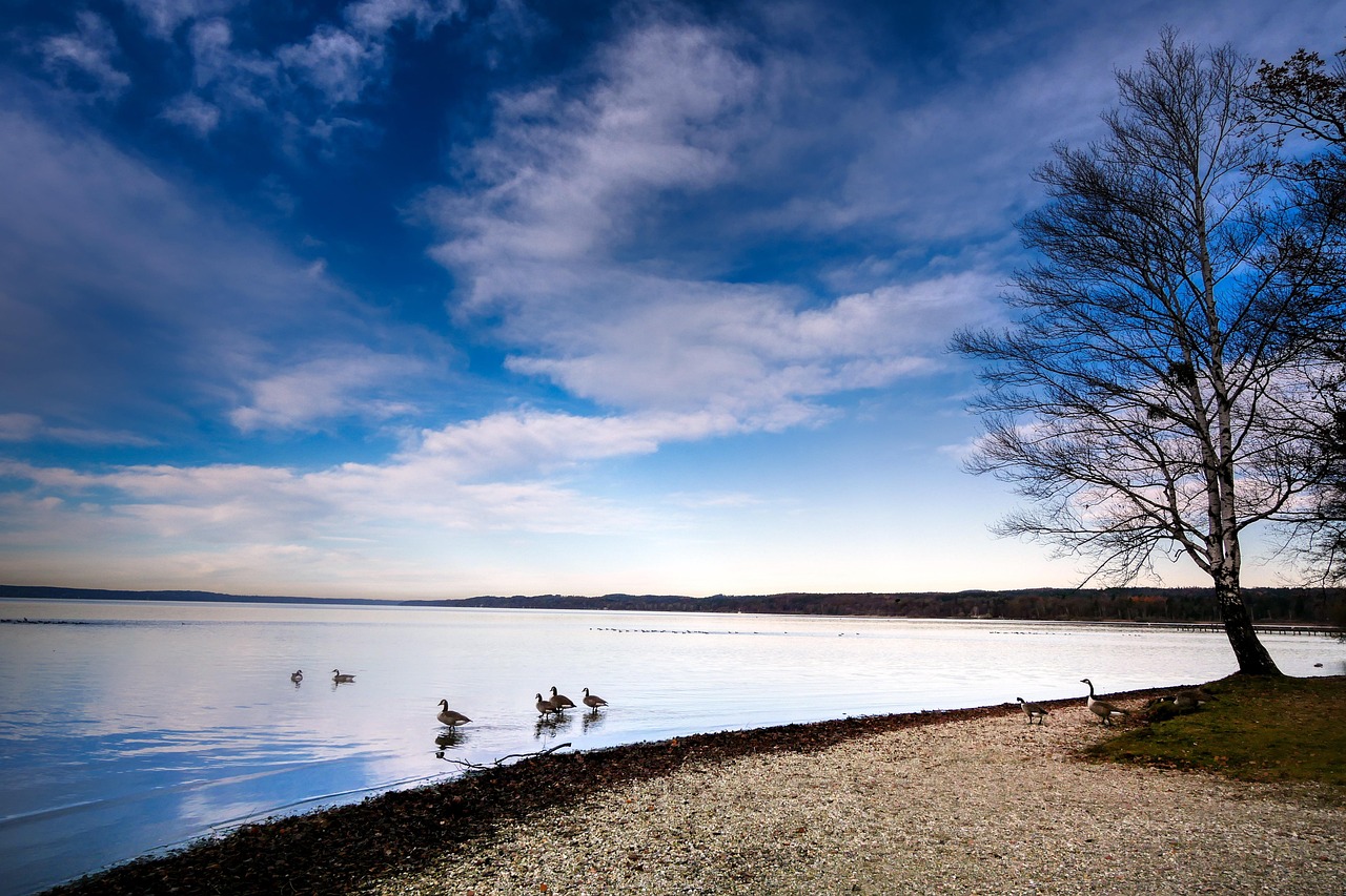 Lago Margem Do Rio Patos - Foto gratuita no Pixabay - Pixabay