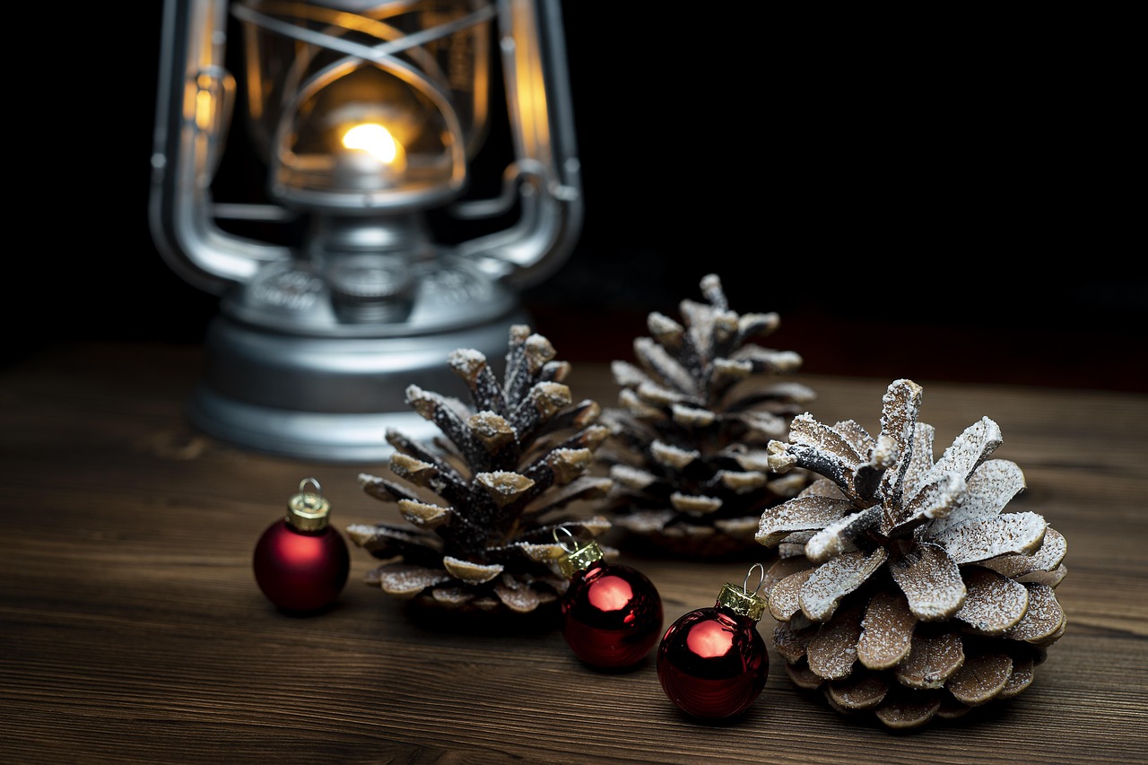 Christmas Pinecone Time - Free photo on Pixabay