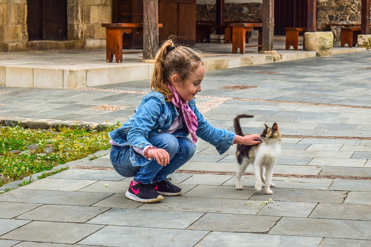 30,000+ Free Cute Kitty Girls & Cat Images - Pixabay