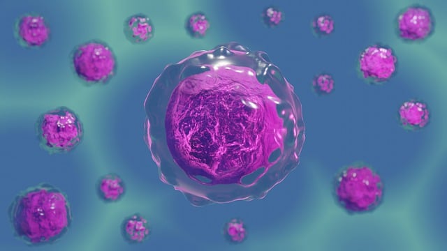 5,000+ Free Cells Under Microscope & Microscope Images - Pixabay