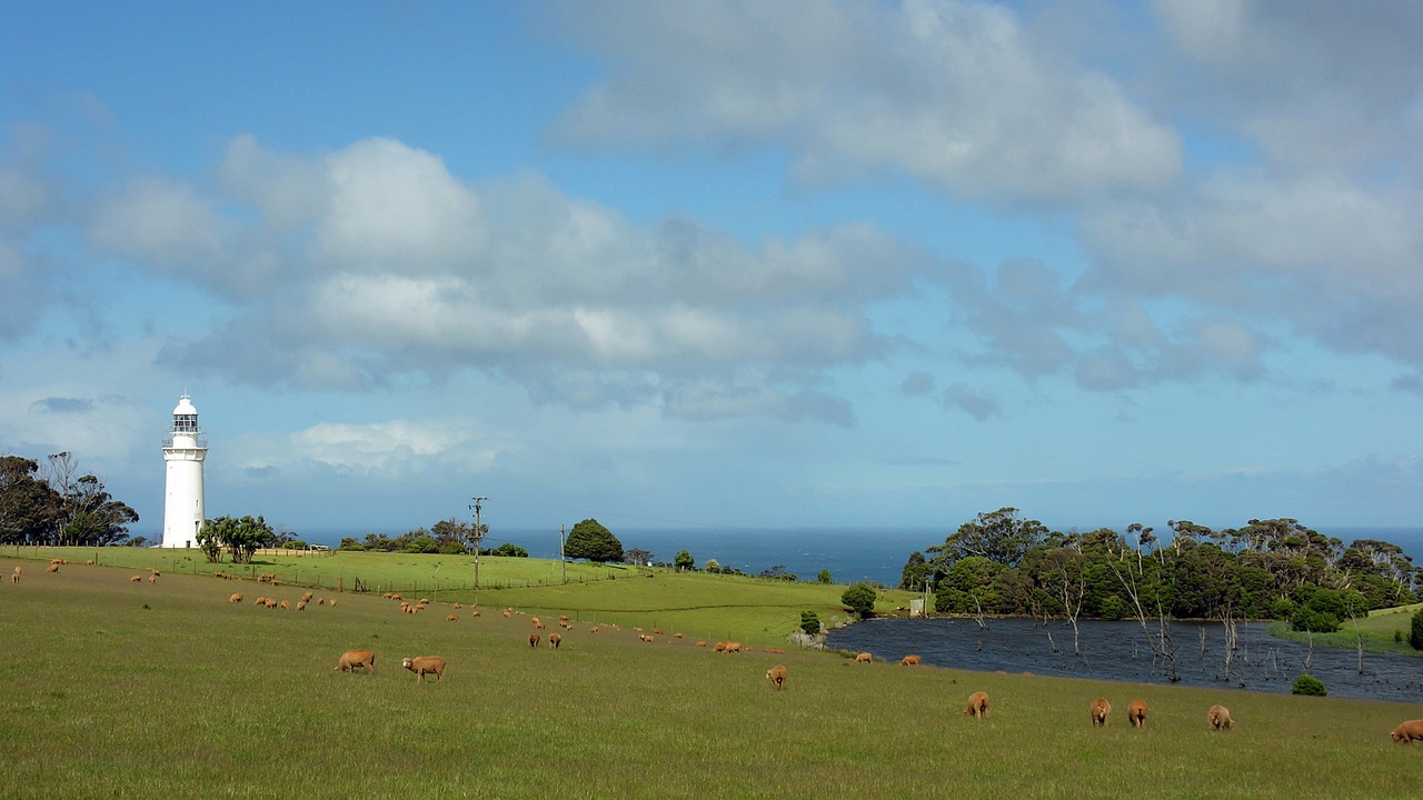 500+ Free Tasmania & Nature Images - Pixabay