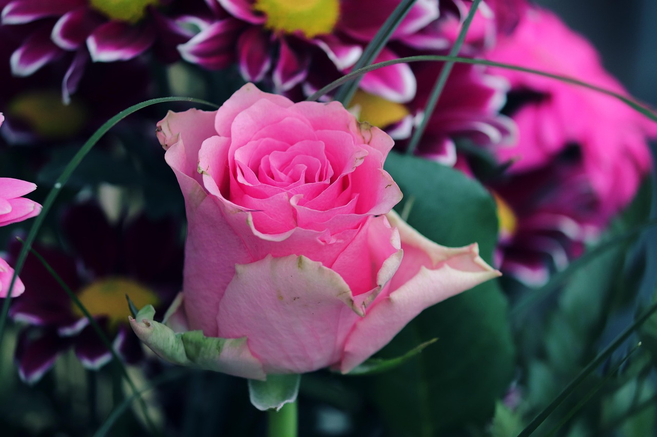 Bouquet De Fleurs Rose Brillant - Photo gratuite sur Pixabay - Pixabay