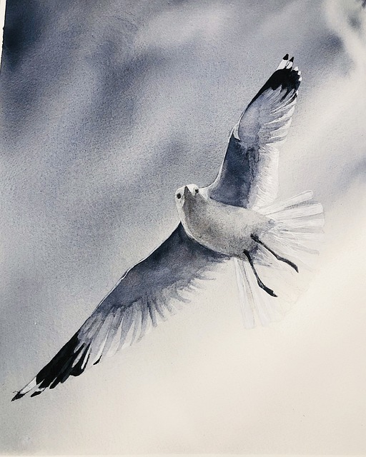 Explore 406+ Free Seagull Illustrations: Download Now - Pixabay