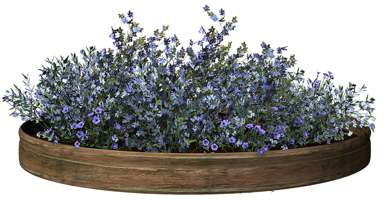 500+ Free Poto & Flower Pot Images - Pixabay