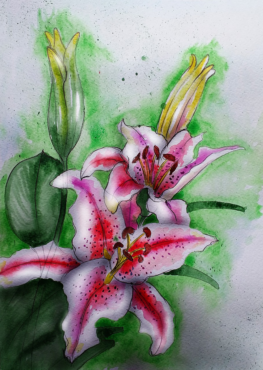 60+ Free Lily Drawing & Lily Images - Pixabay