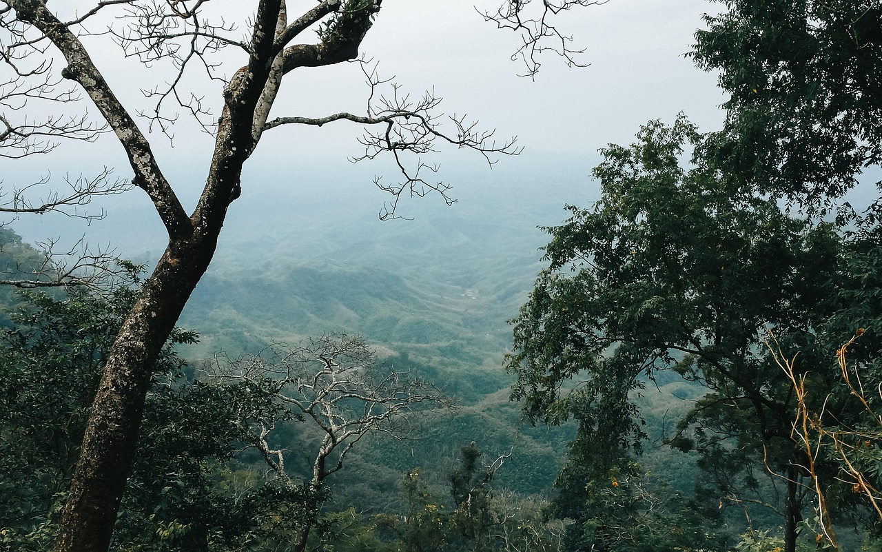 20+ Free Sajek & Sajek Valley Images - Pixabay