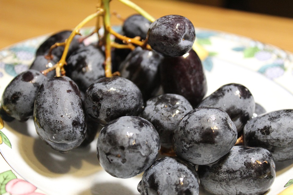 Buah Anggur Ungu