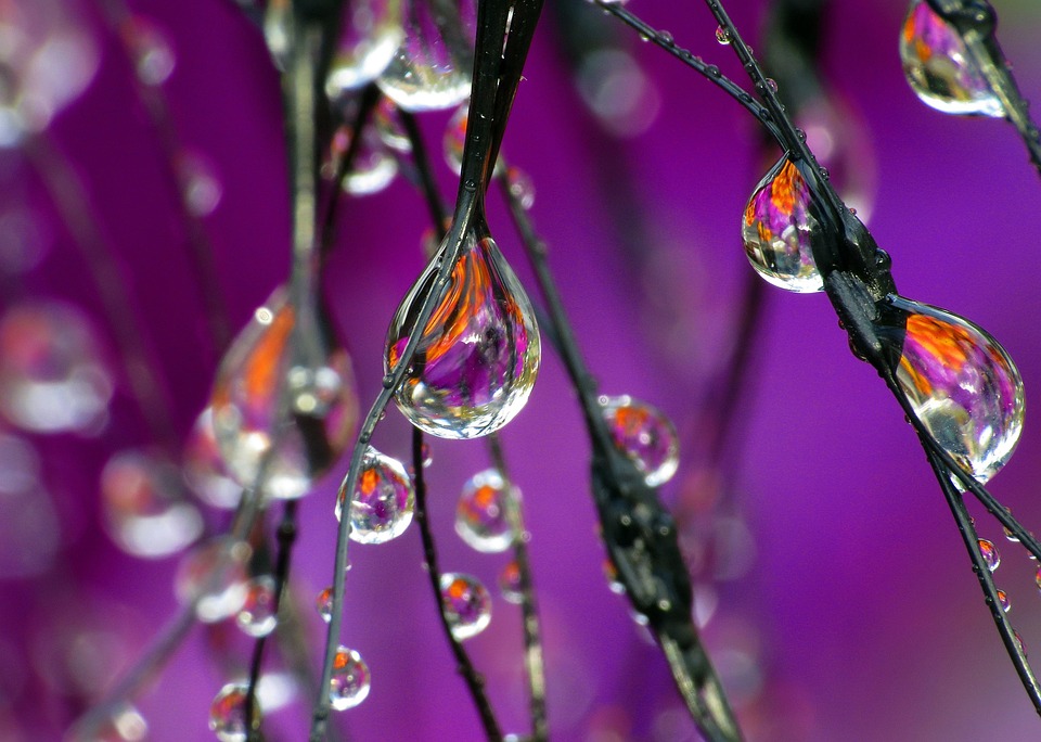 Water Drop Drip - Free photo on Pixabay