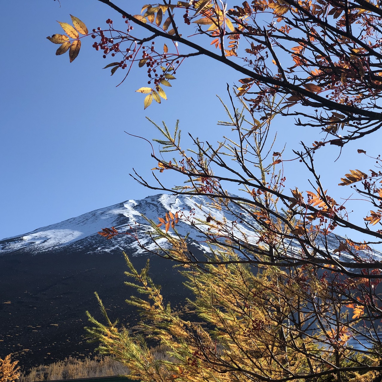 Fuji Mountain Fall Autum - Free photo on Pixabay - Pixabay