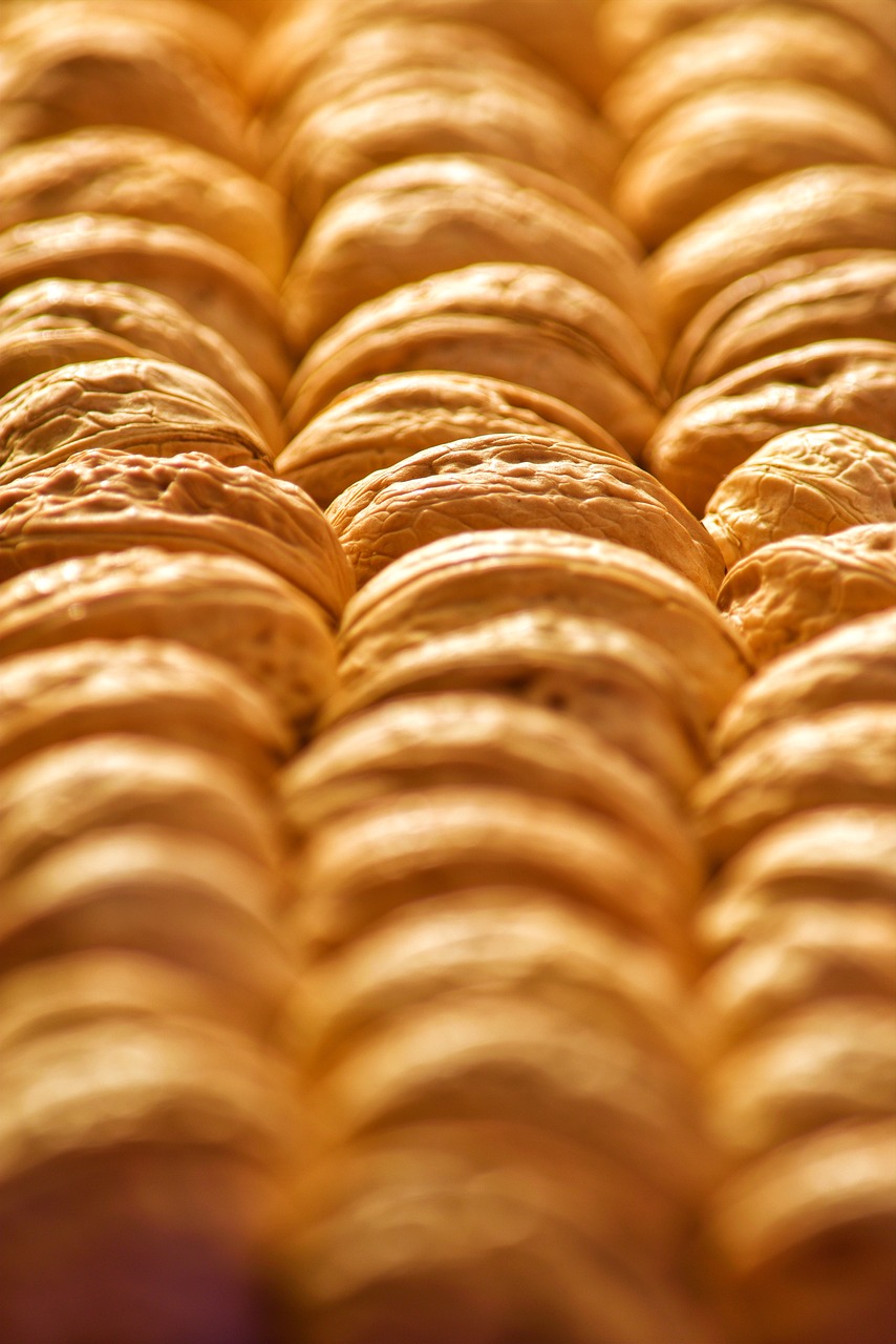 Noix Des Noisettes Aliments - Photo gratuite sur Pixabay - Pixabay