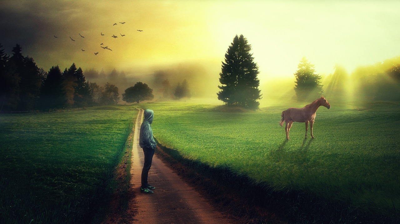 Landscape Photo Manipulation
