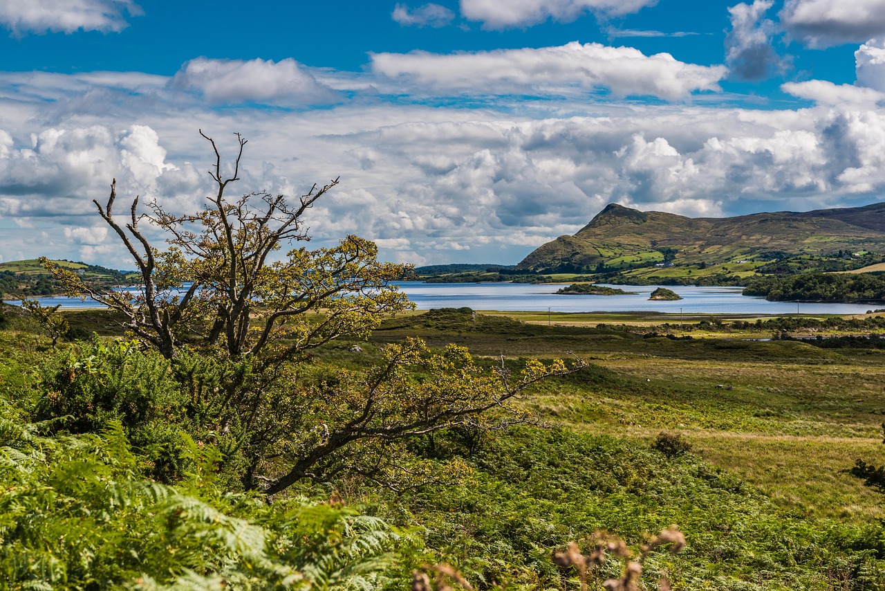 100+ Free Connemara & Ireland Images - Pixabay