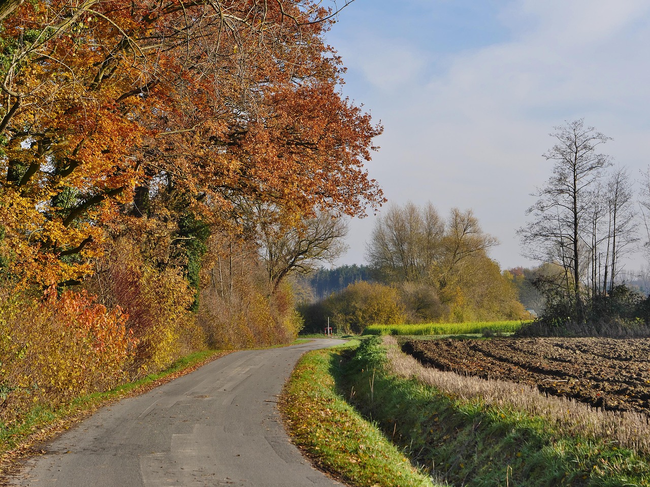 Late Autumn Sunny Münsterland Flat - Free photo on Pixabay - Pixabay