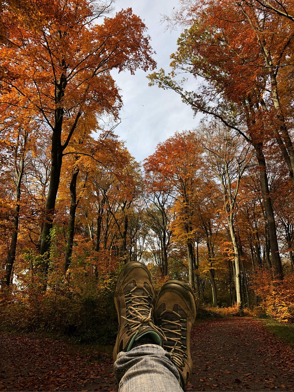 30,000+ Free Take A Break & Break Images - Pixabay