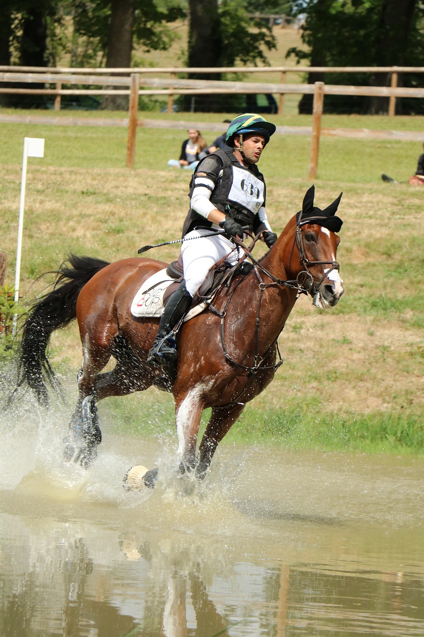 100+ Free Haras & Krishna Images - Pixabay