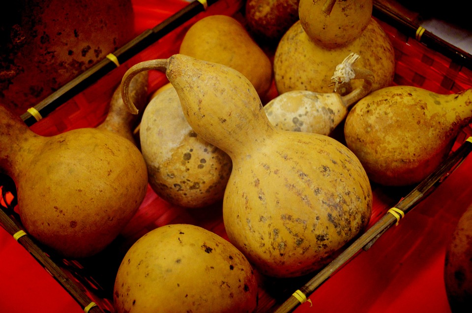 Butternut Pumpkin Vegetables - Free photo on Pixabay - Pixabay