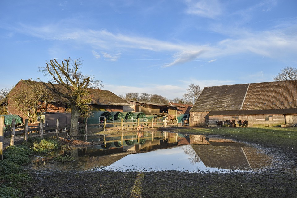 Farm Yard Building Farmhouse - Free photo on Pixabay - Pixabay