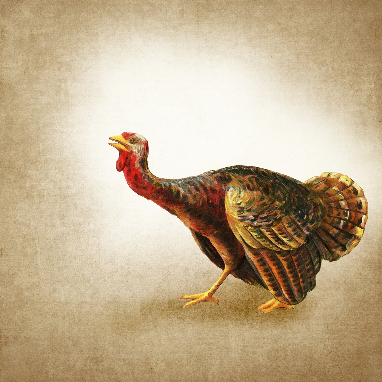 200+ Free November Thanksgiving & Thanksgiving Images - Pixabay