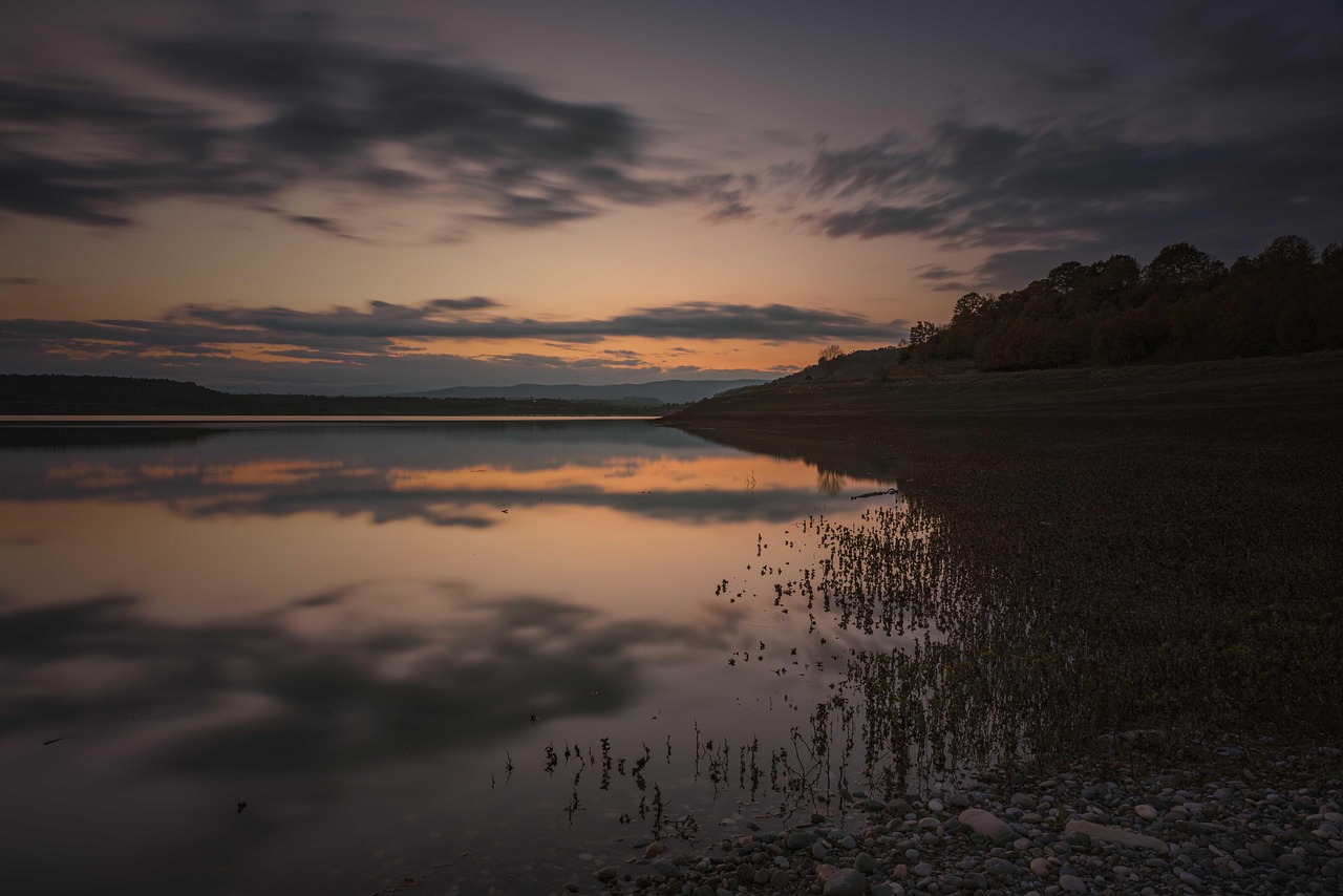 200,000+ Free Water Filter & Filter Images - Pixabay