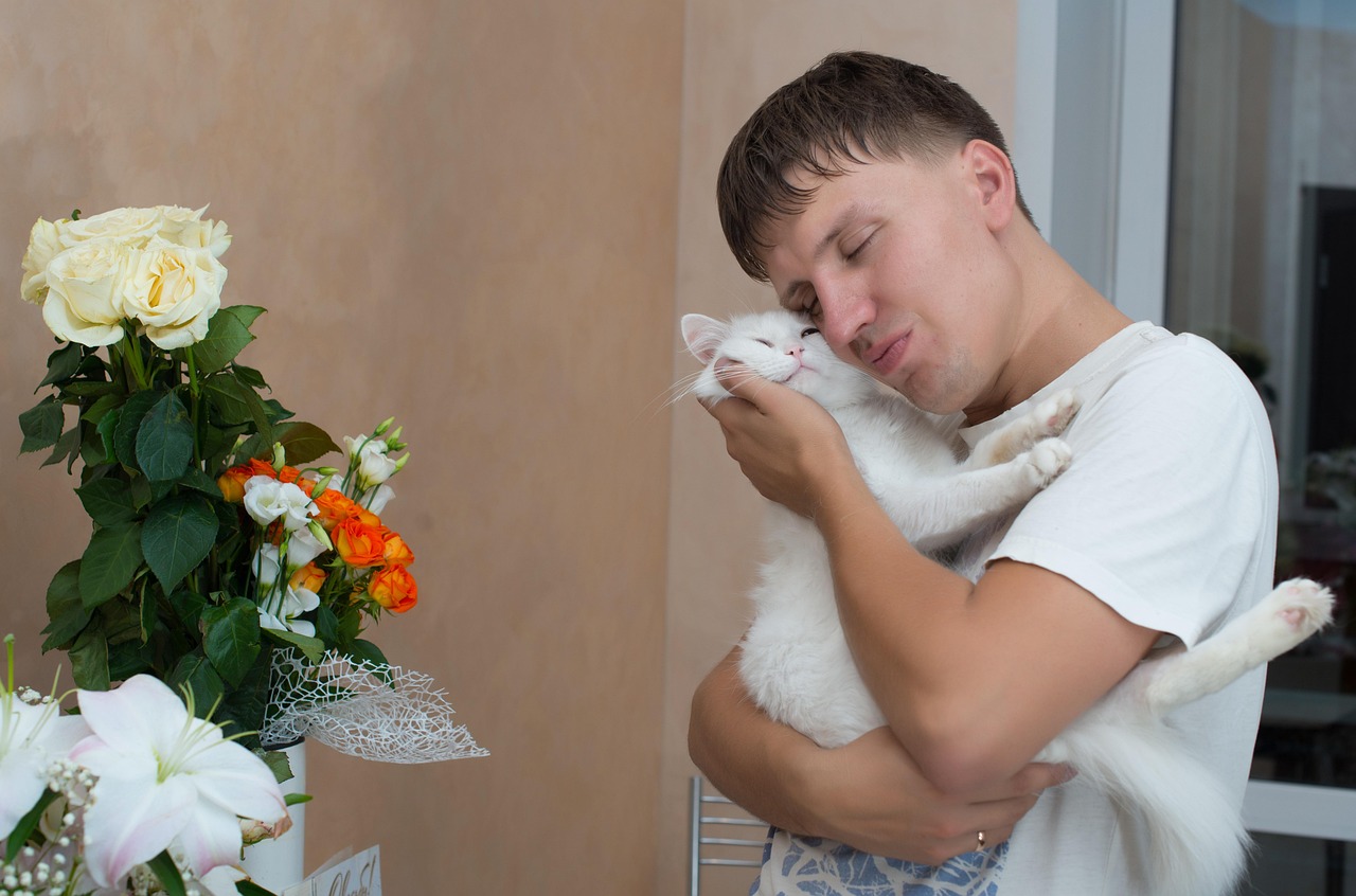 Un Chico Le Gusta El Gato Favorito - Foto gratis en Pixabay - Pixabay