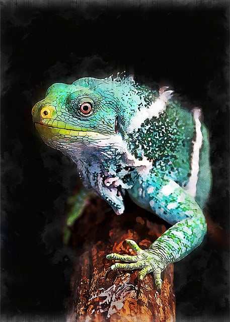 Saurio Animal Exótico - Imagen gratis en Pixabay