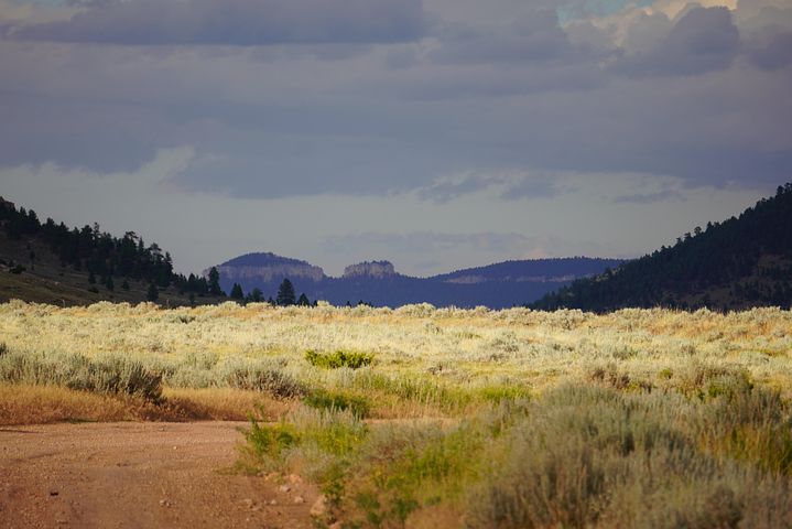 50+ Free Open Land & Nature Images - Pixabay