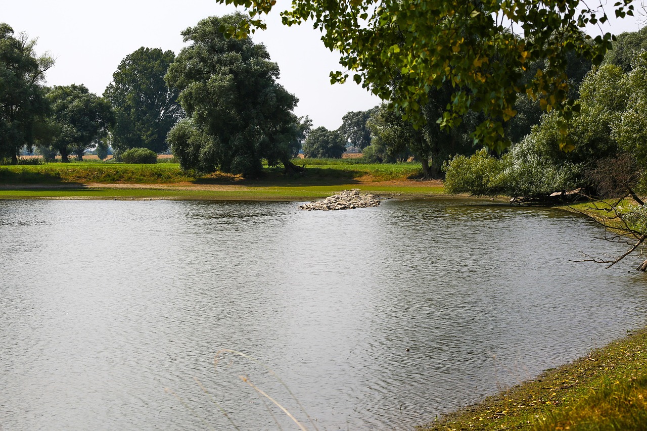 Nature Lake Water - Free photo on Pixabay - Pixabay