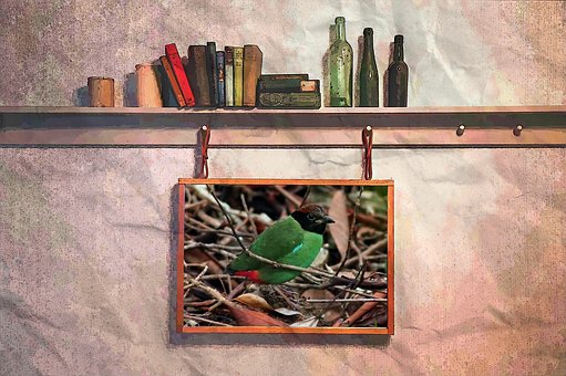 30+ Free Hanging Pictures & Picture Images - Pixabay