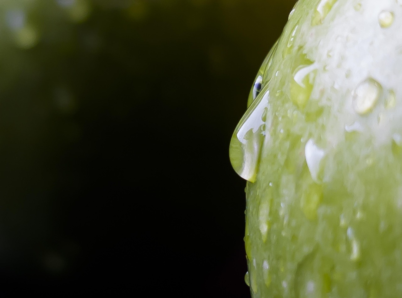 Apple Fruit Manzana - Free photo on Pixabay - Pixabay